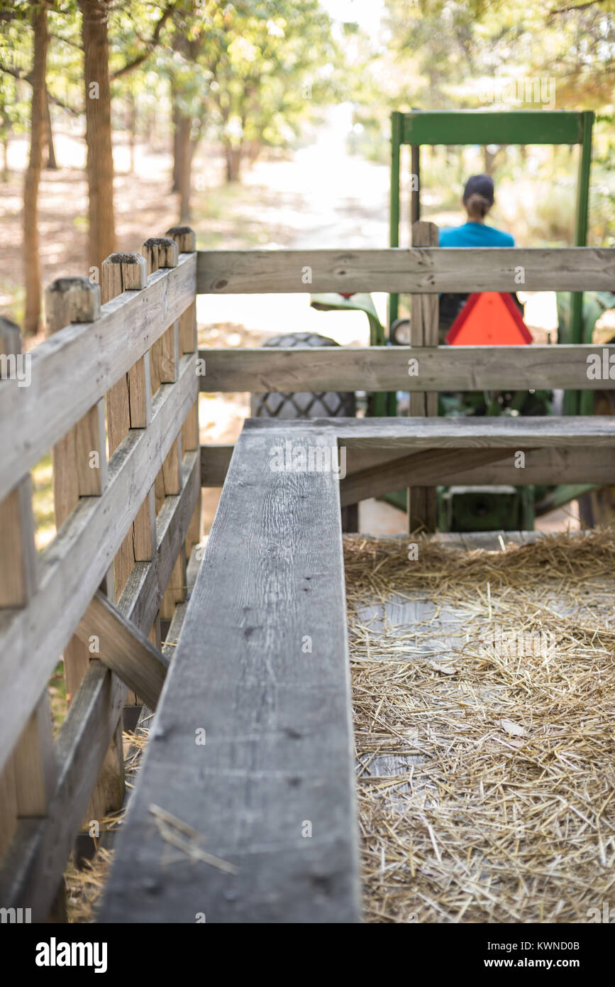 tractor pulling hay ride cart on trail through trees Stock Photo - Alamy