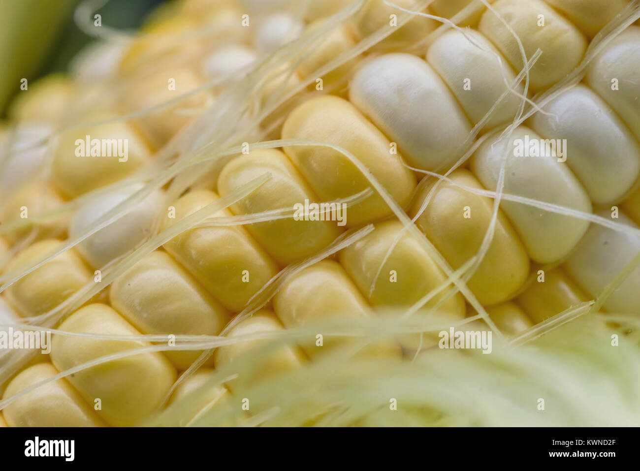Yellow corn kernels hi-res stock photography and images - Alamy