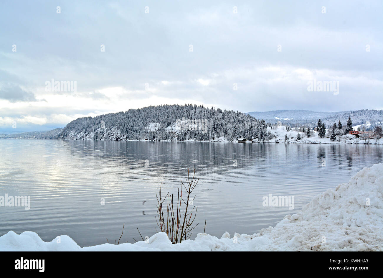 A winter landscape consisting of a hill of fir trees on the shore of ...