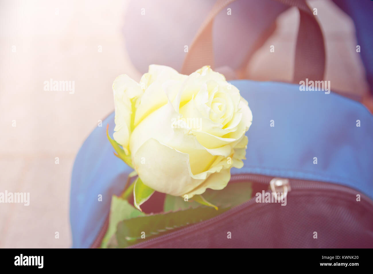 Lifestyle image hi-res stock photography and images - Alamy