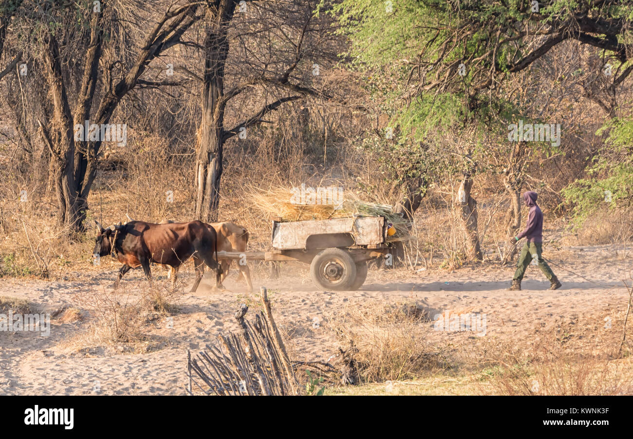 Rural angola hi-res stock photography and images - Alamy