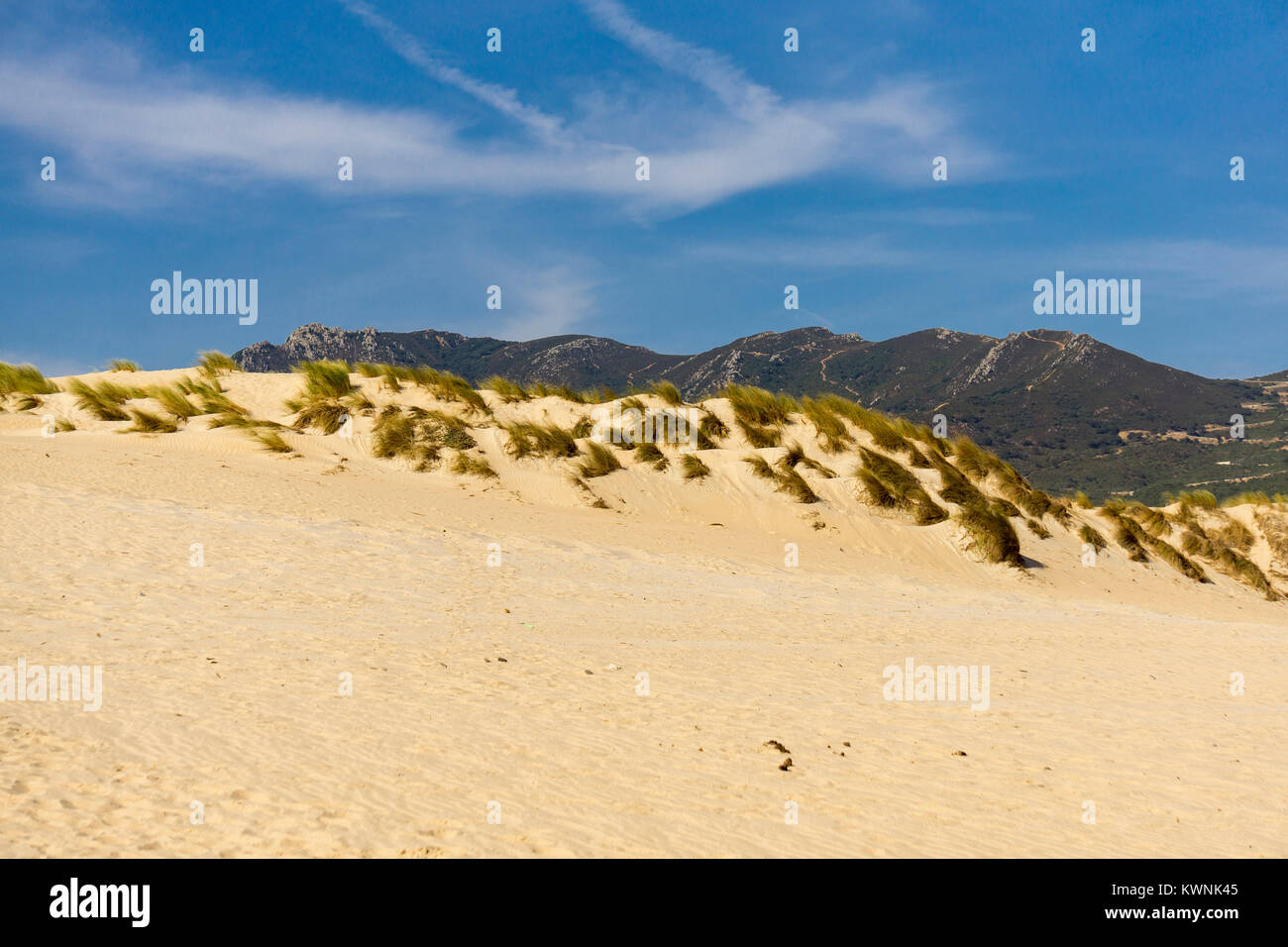 Beach dunes sand tarifa hi-res stock photography and images - Alamy
