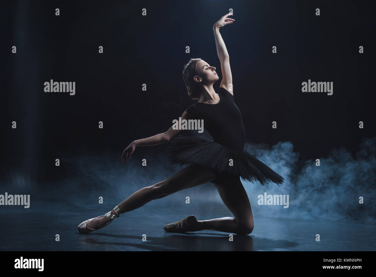 elegant ballerina Stock Photo - Alamy