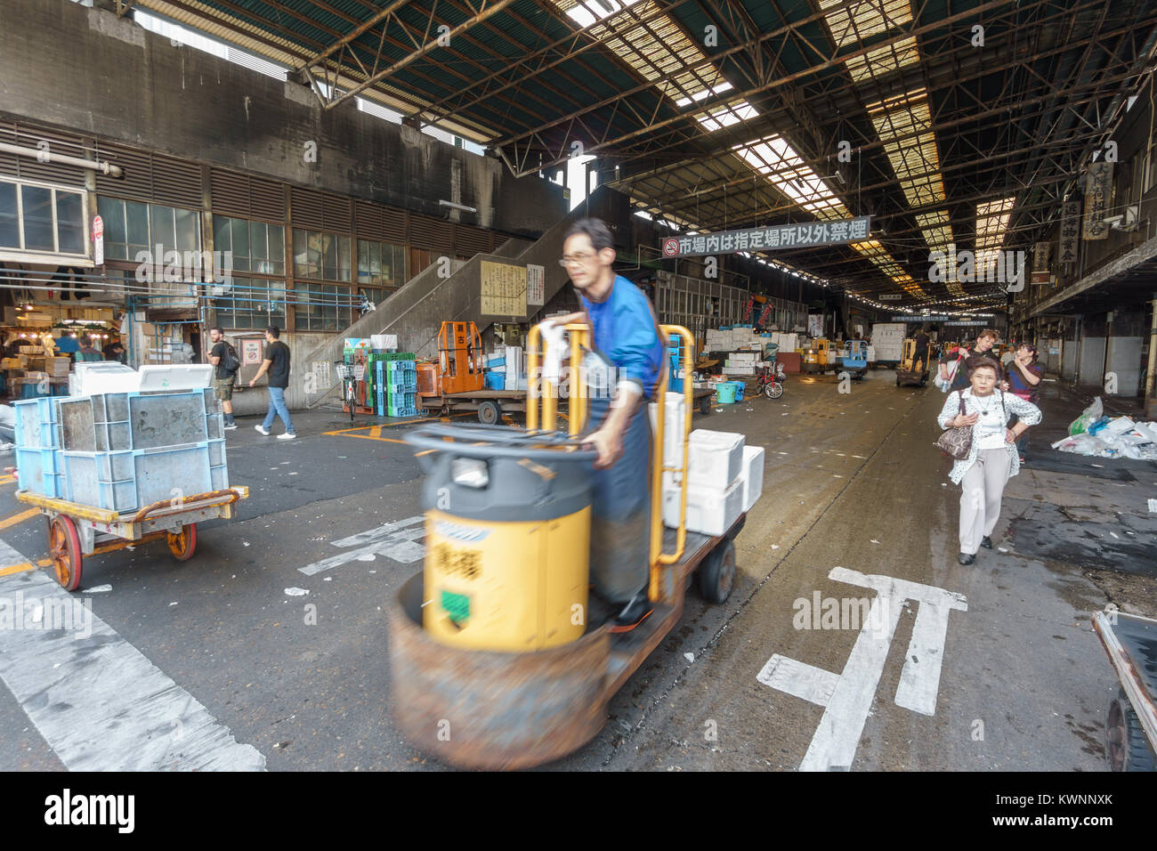 Singular fish hi-res stock photography and images - Alamy