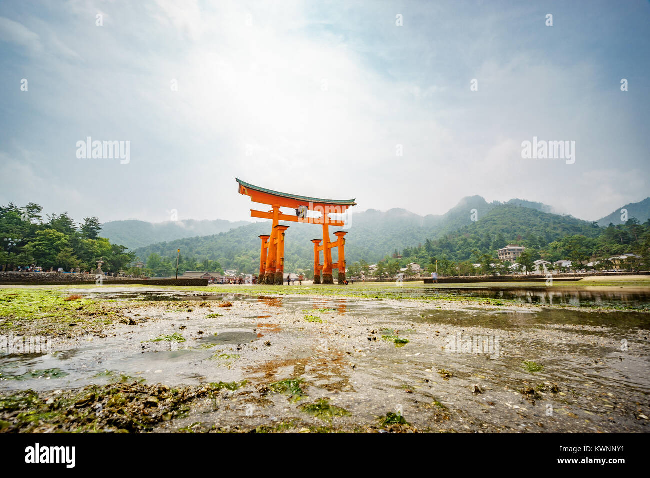 Long exposure bottom view in Miyajima, Floating Torii gate, low tide ...