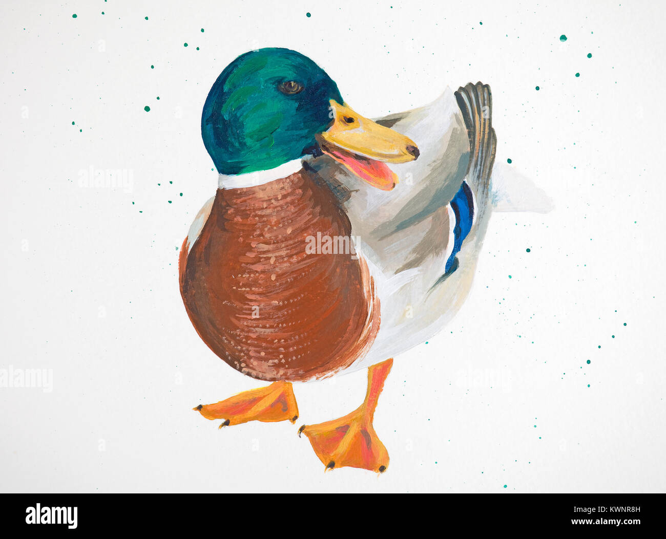 Standing Duck High Resolution Stock Photography and Images - Alamy