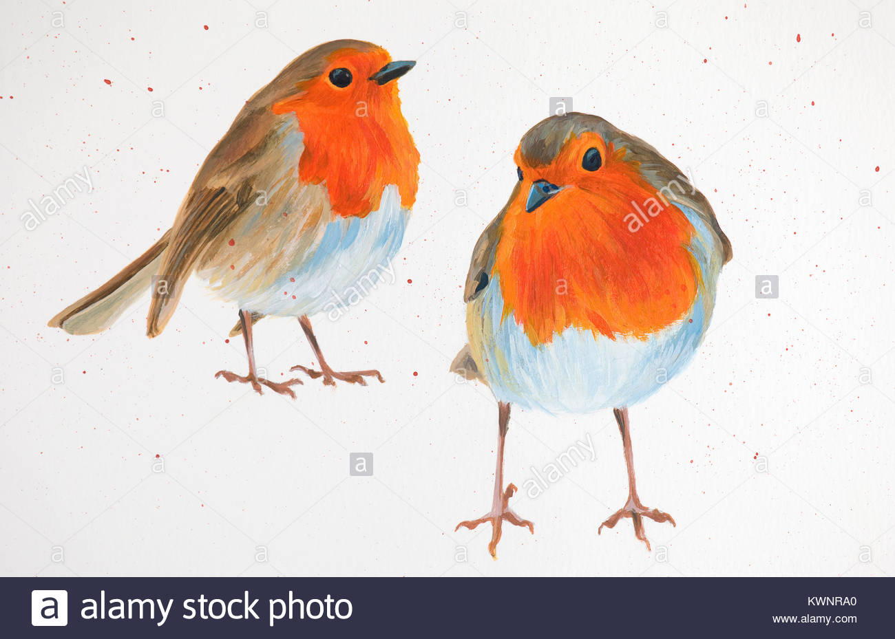 Pair Of Robins Stock Photos & Pair Of Robins Stock Images - Alamy