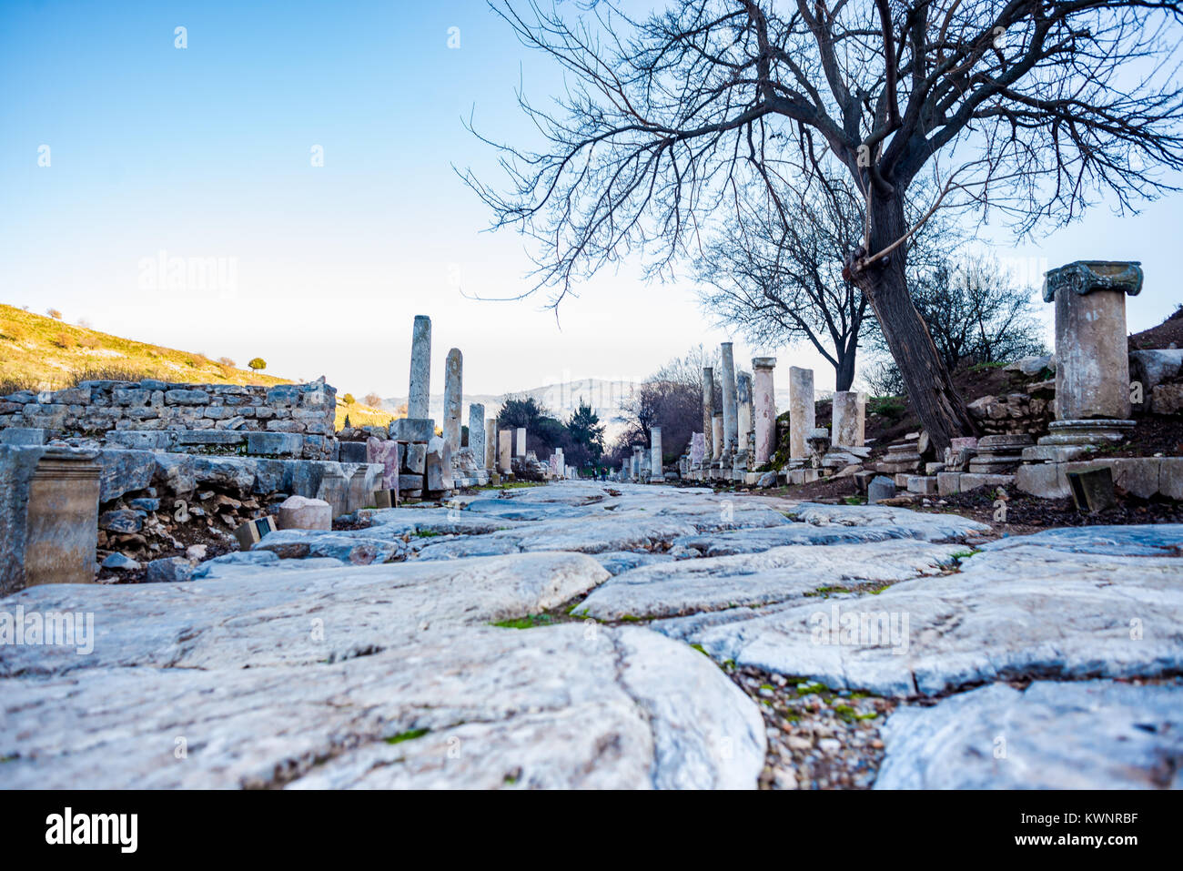 Marble road and columns at Ephesus ancient city Stock Photo - Alamy