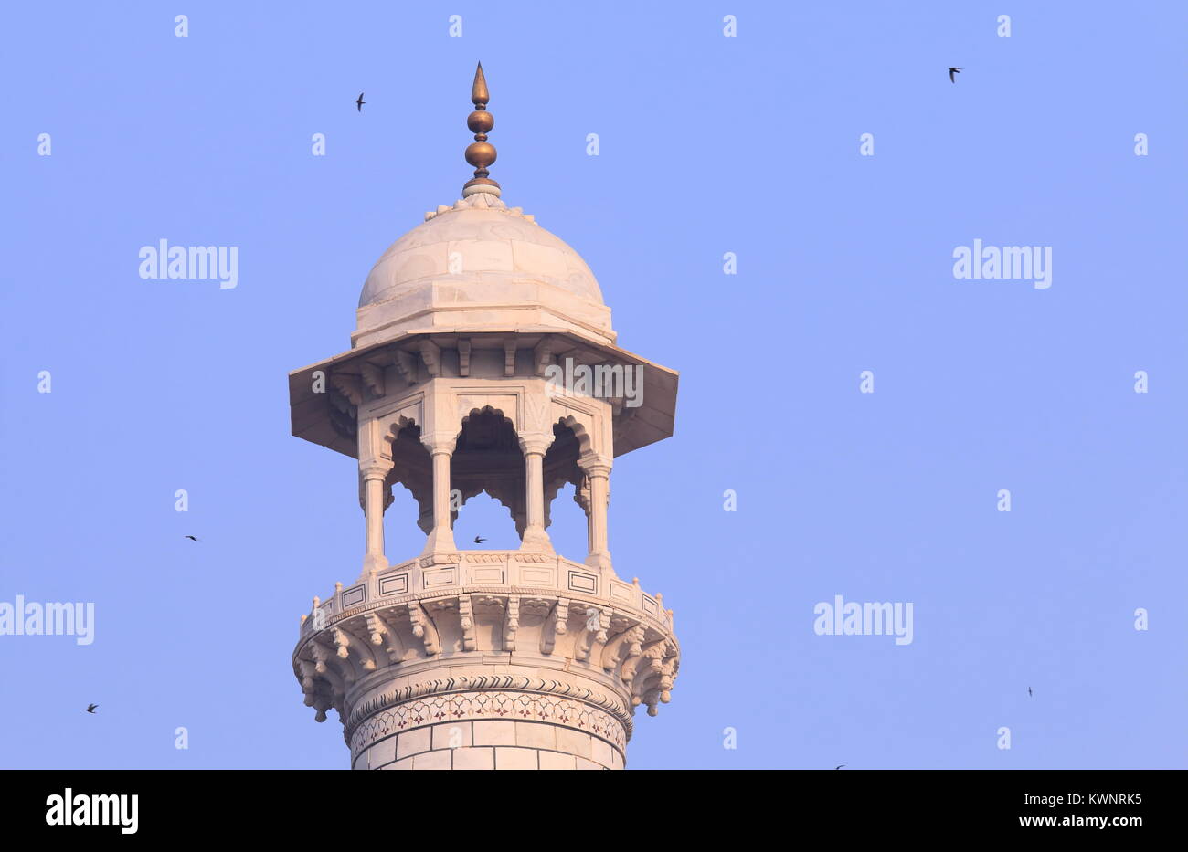Taj mahal pillar hi-res stock photography and images - Alamy