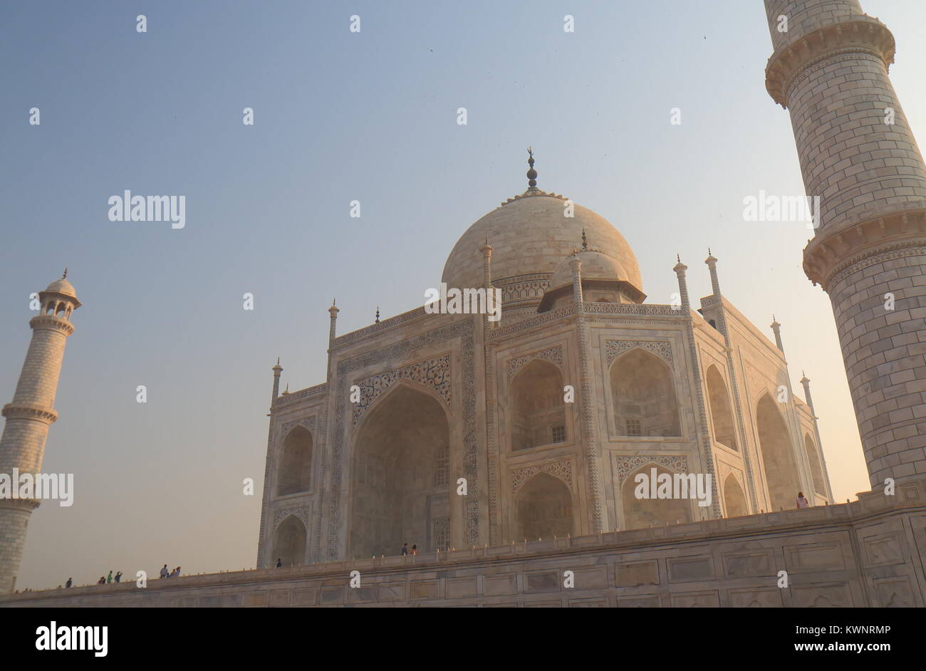 Iconic architecture Taj Mahal pillar Agra India Stock Photo - Alamy