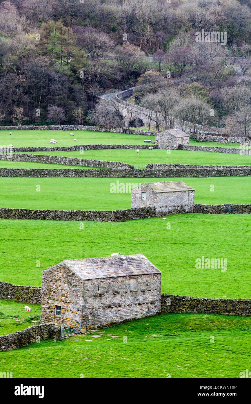 Three barns, with fields bounded by typical drystone walls, leading to ...