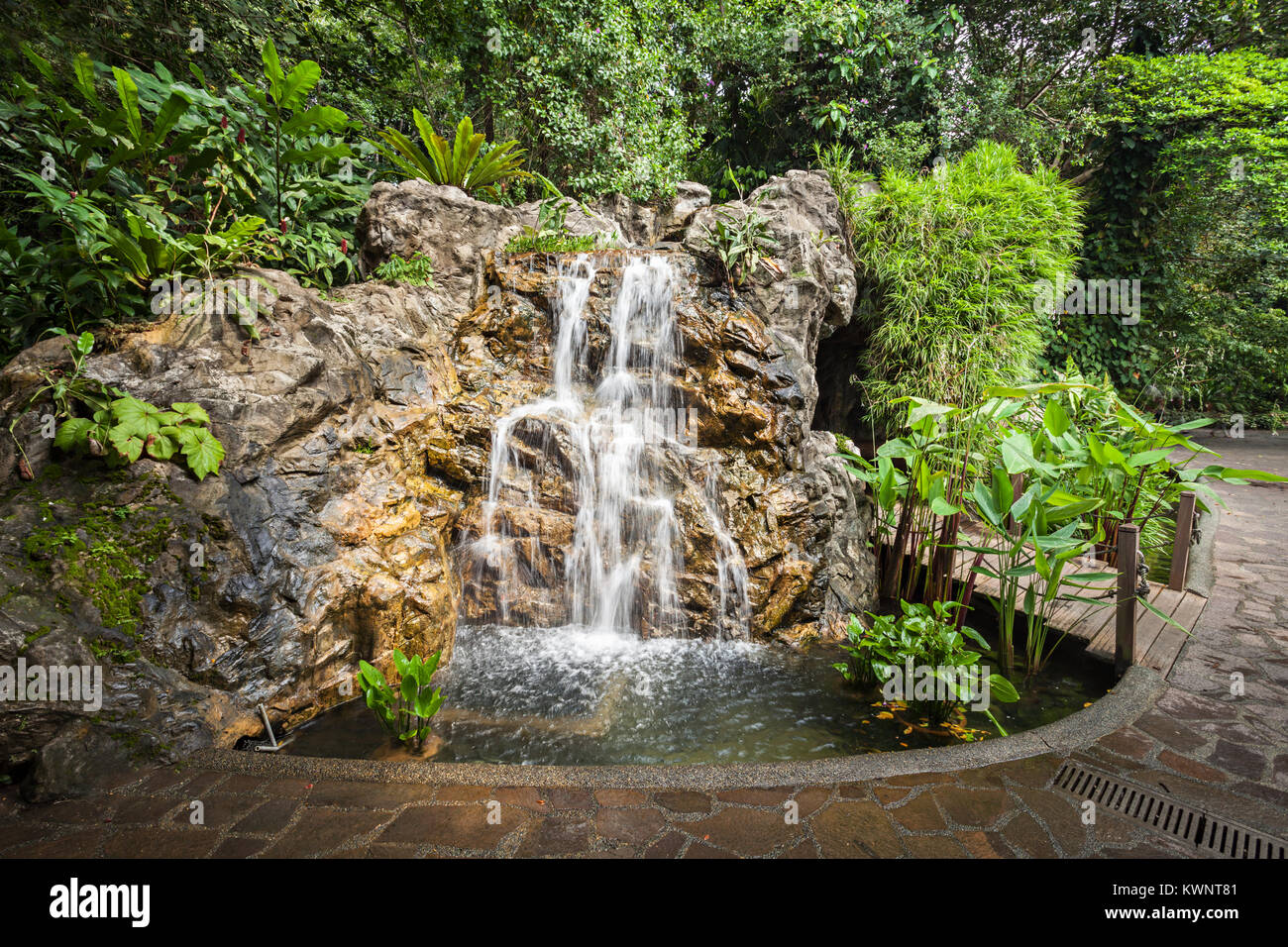 Singapore botanic garden waterfall hi-res stock photography and images ...