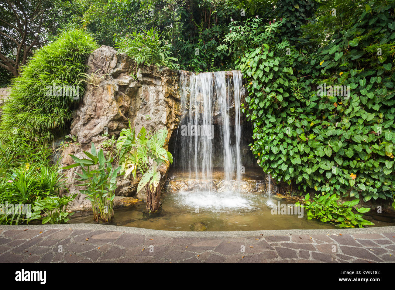 Singapore botanic garden waterfall hi-res stock photography and images ...