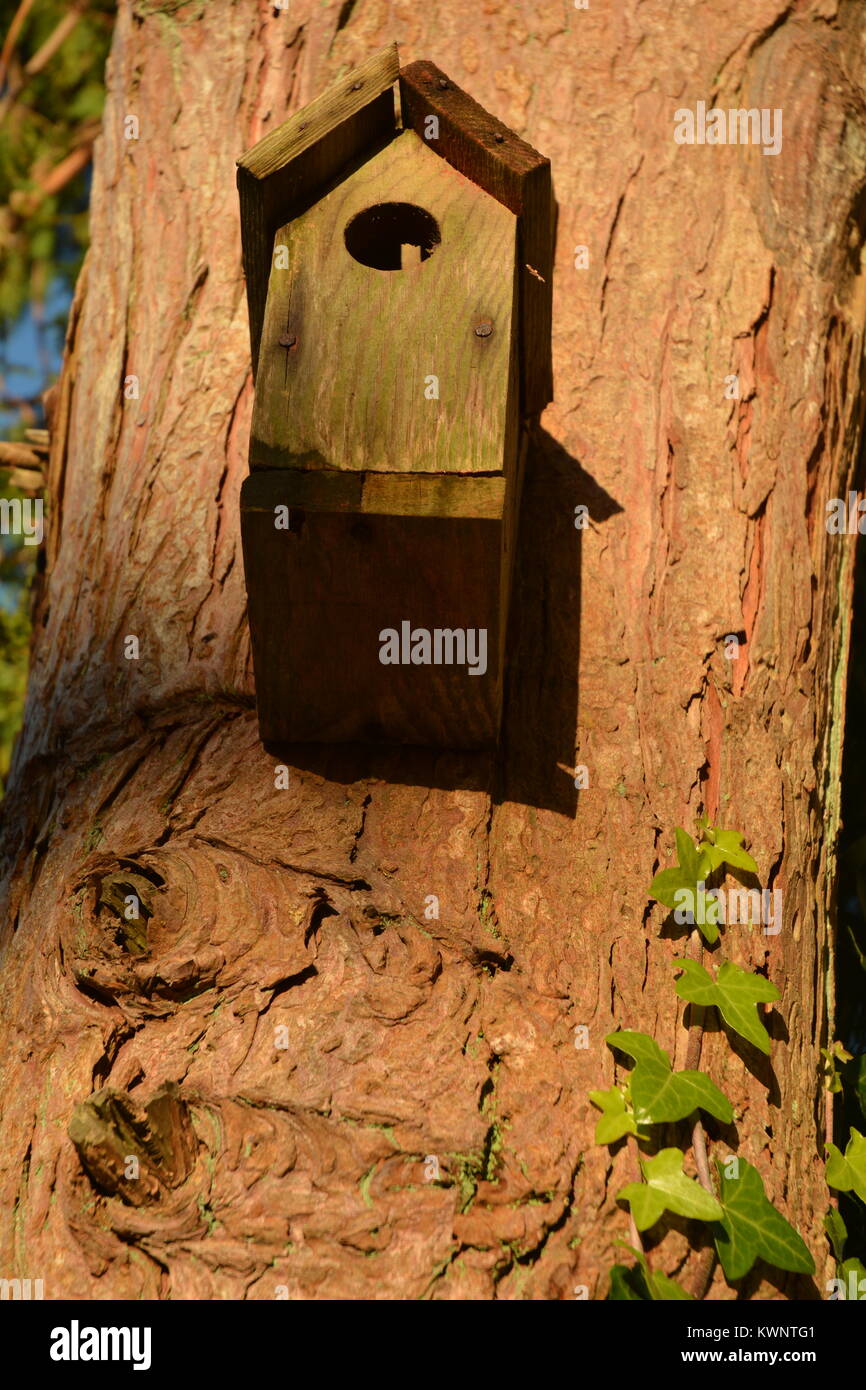 Bird breeding box hi-res stock photography and images - Alamy