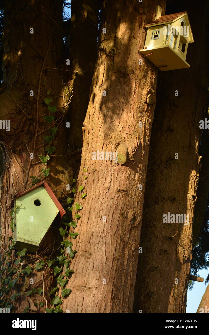 Wildlife shelter boxes hi-res stock photography and images - Alamy