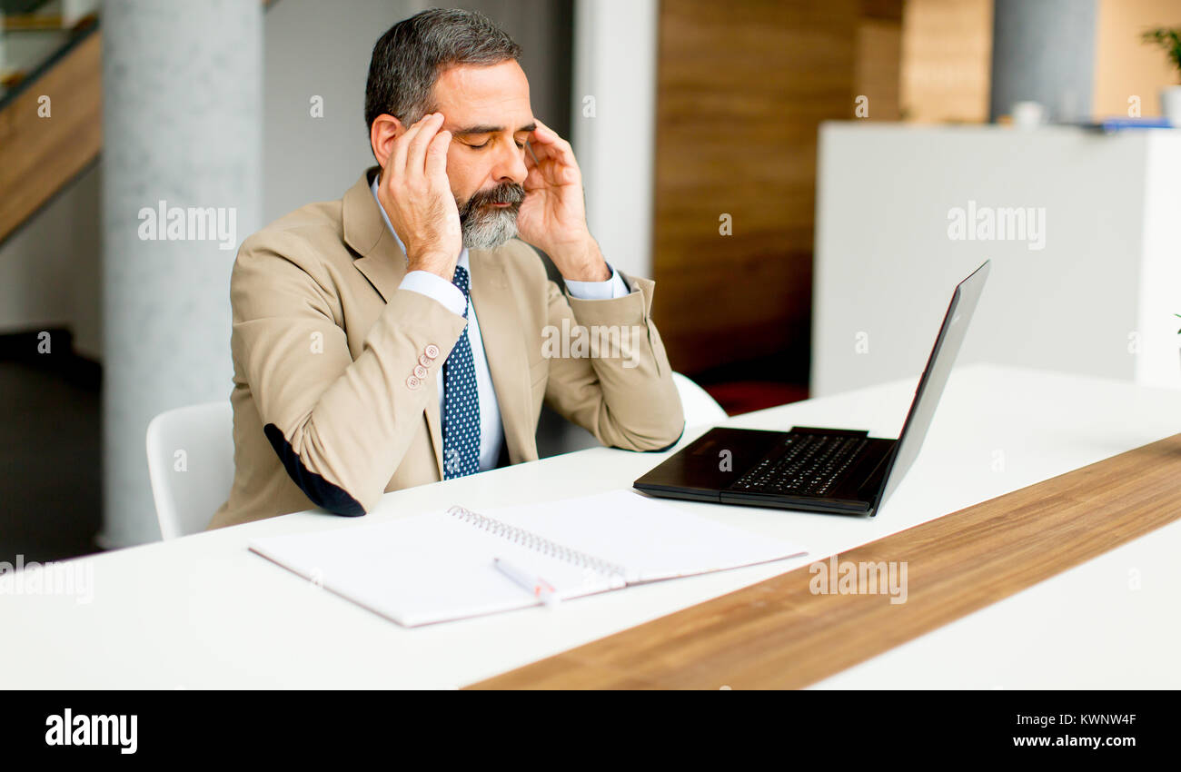 Senior director sitting at desk and working on laptops in the office ...