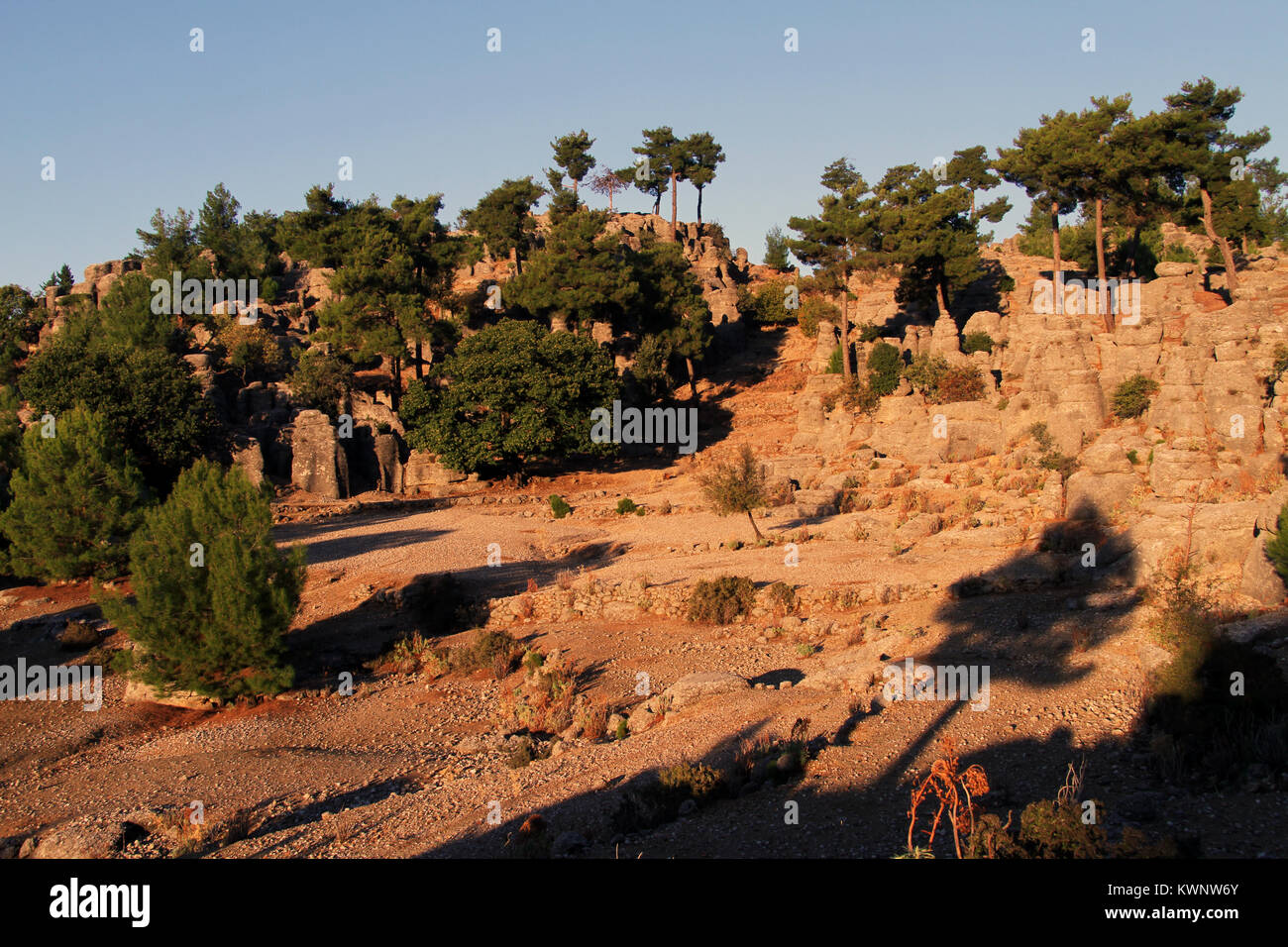 Mourning in mountain with trees in Turkey Stock Photo - Alamy