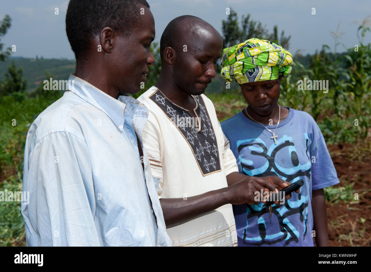 Rwandan couple in field checking mobile phone for price updates of ...