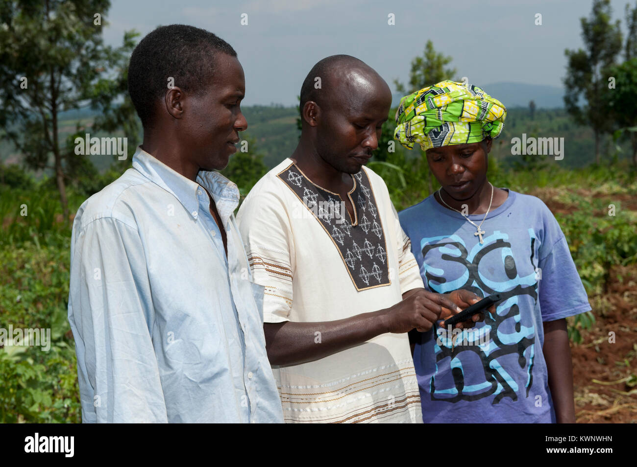 Rwandan couple in field checking mobile phone for price updates of ...