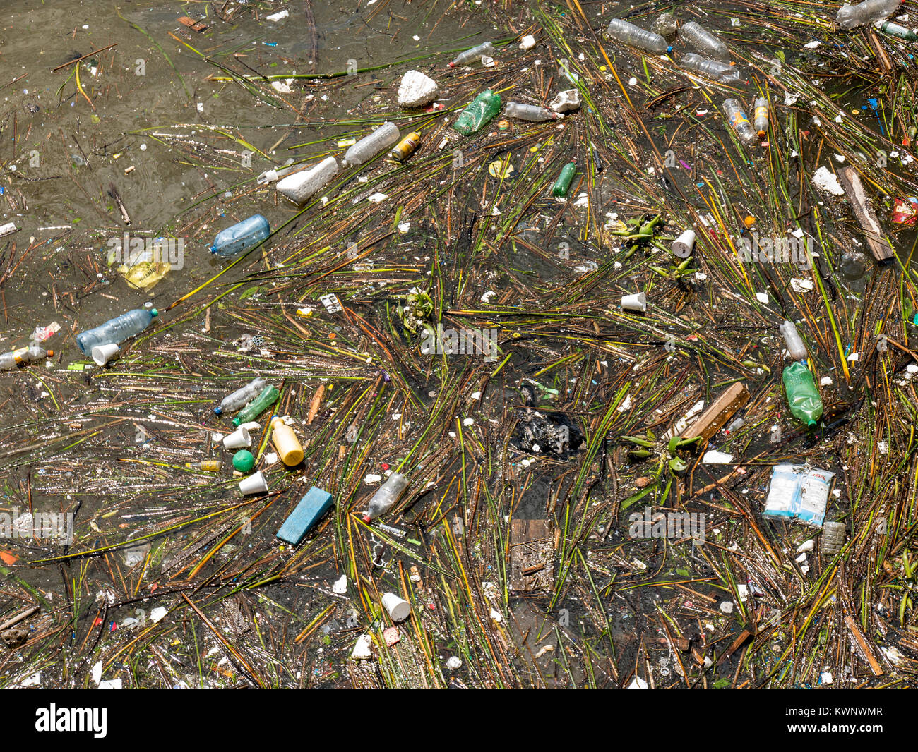 Pollution, waste; trash; garbage floating in Atlantic Ocean along coast ...