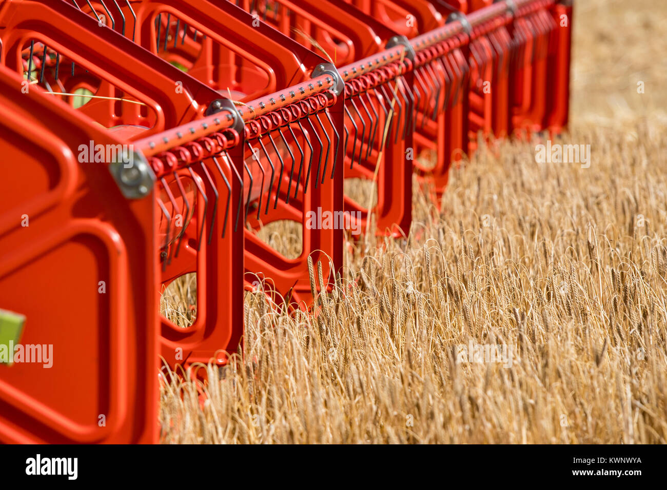 Close up of a Claas V900 35ft combine head with attached cameras, at ...