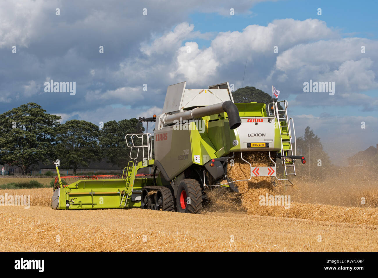 Claas Lexicon 760 combining barley, with straw coming out of rear ...