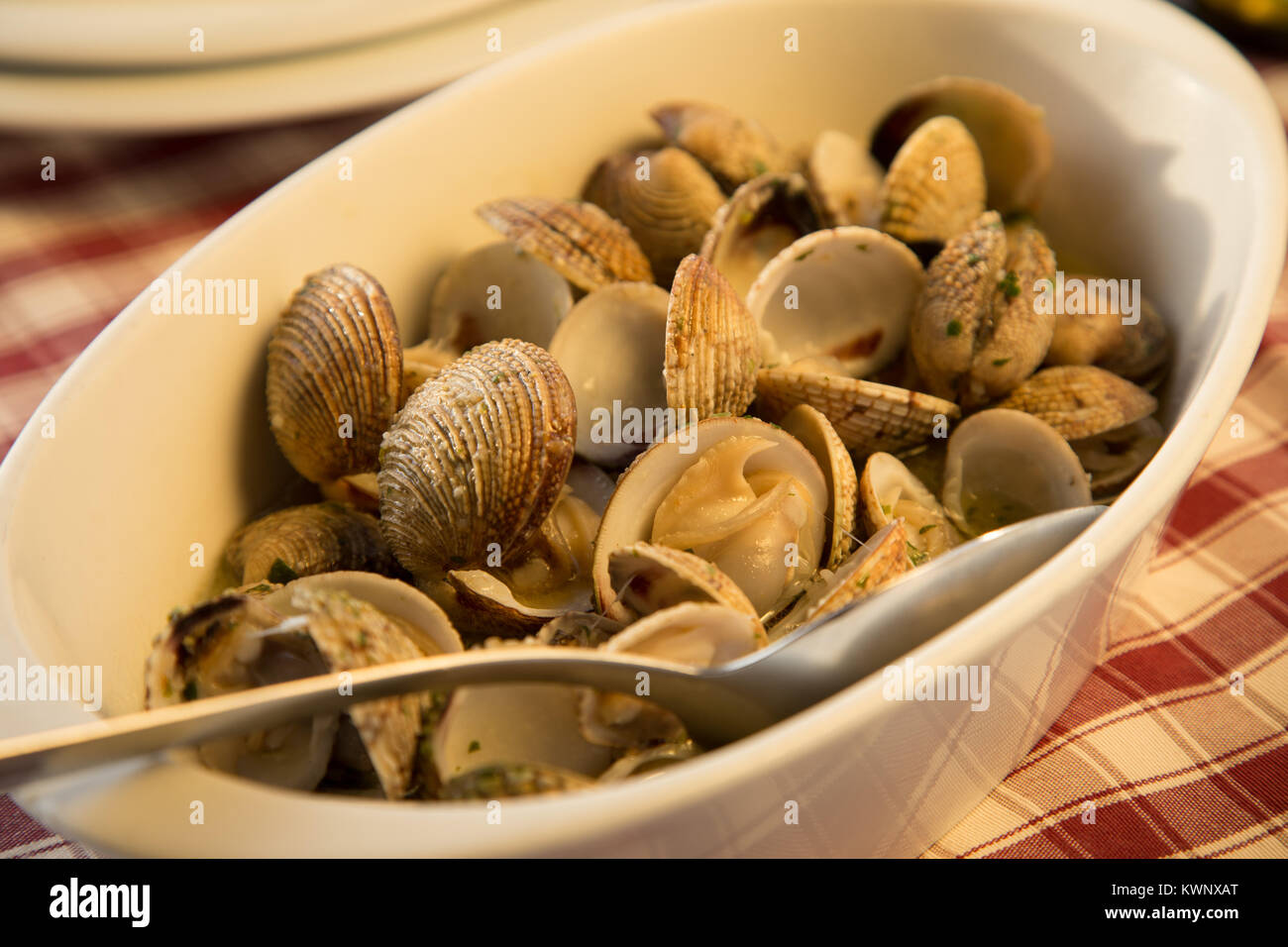 Clams served in restaurant in Croatia Stock Photo - Alamy
