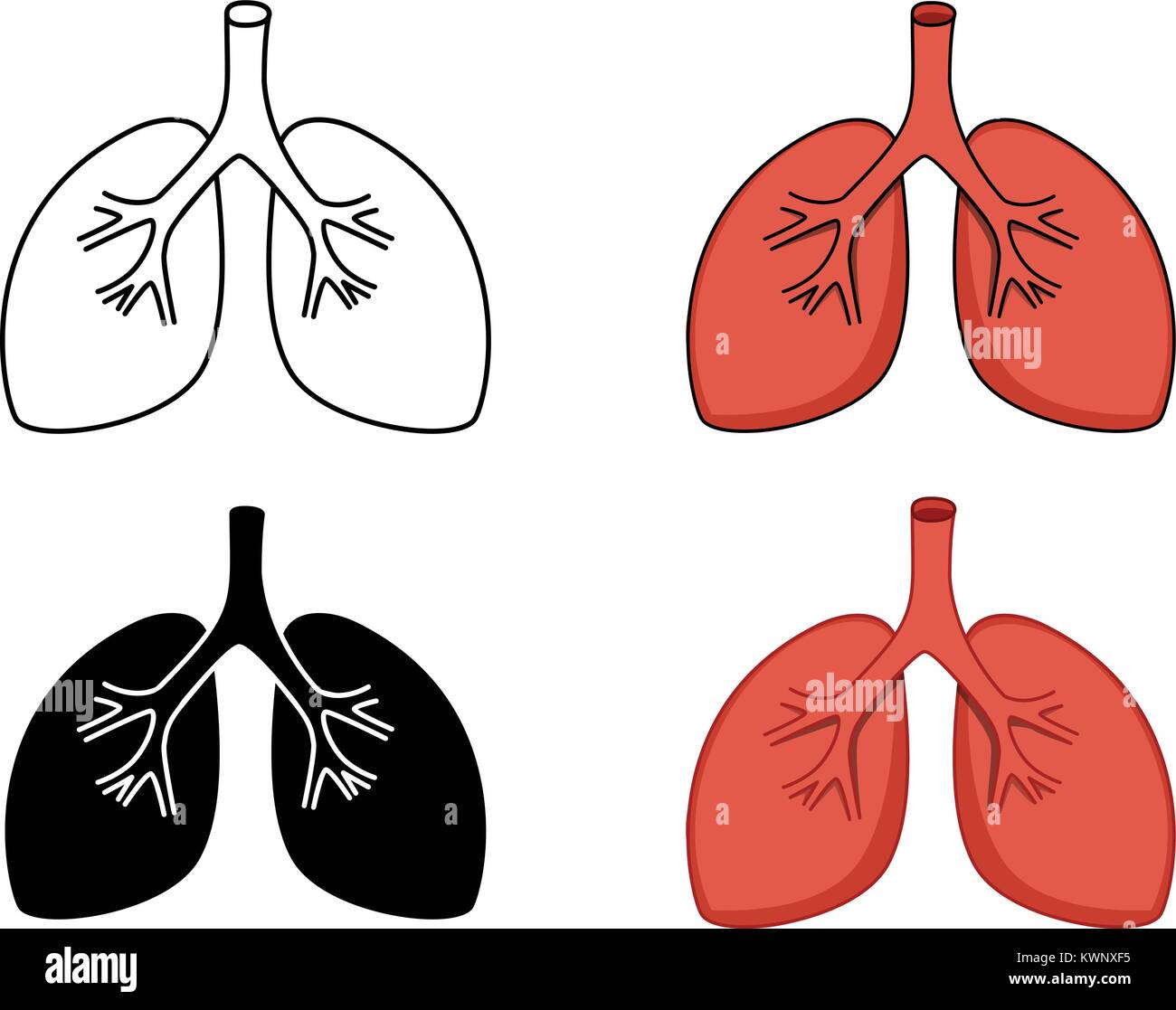 Set of lung icon, vector art design Stock Vector Image & Art - Alamy