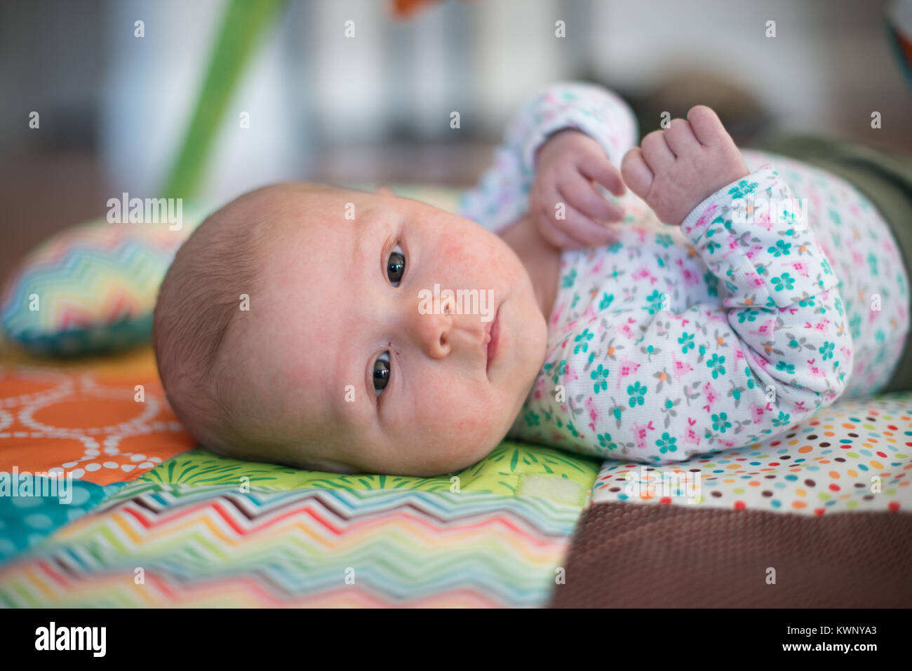 A healthy two month old baby girl Stock Photo - Alamy