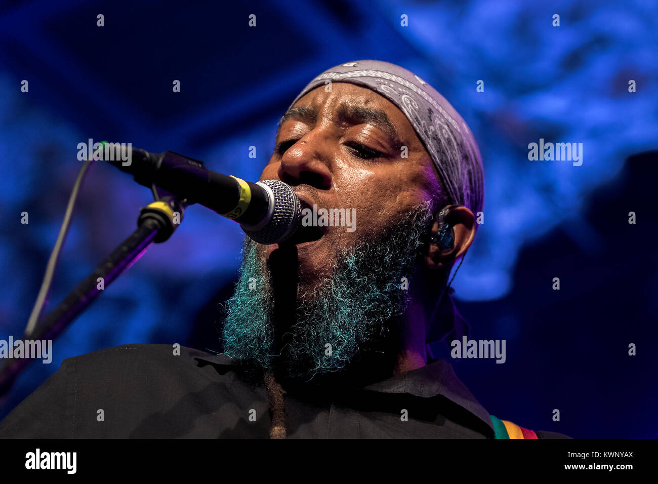 American gypsy punk rock band hi-res stock photography and images - Alamy