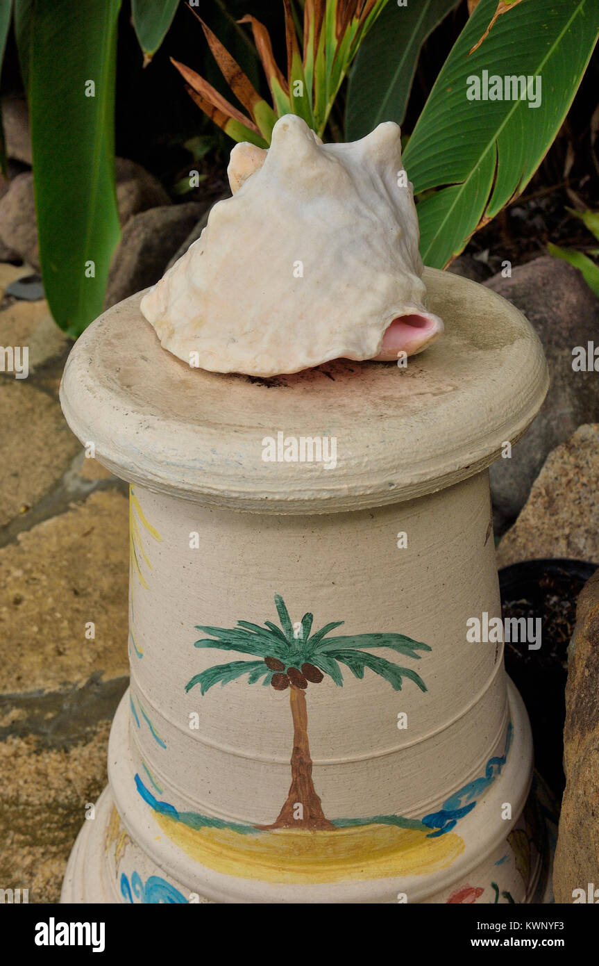 Sea shell craft hi-res stock photography and images - Alamy
