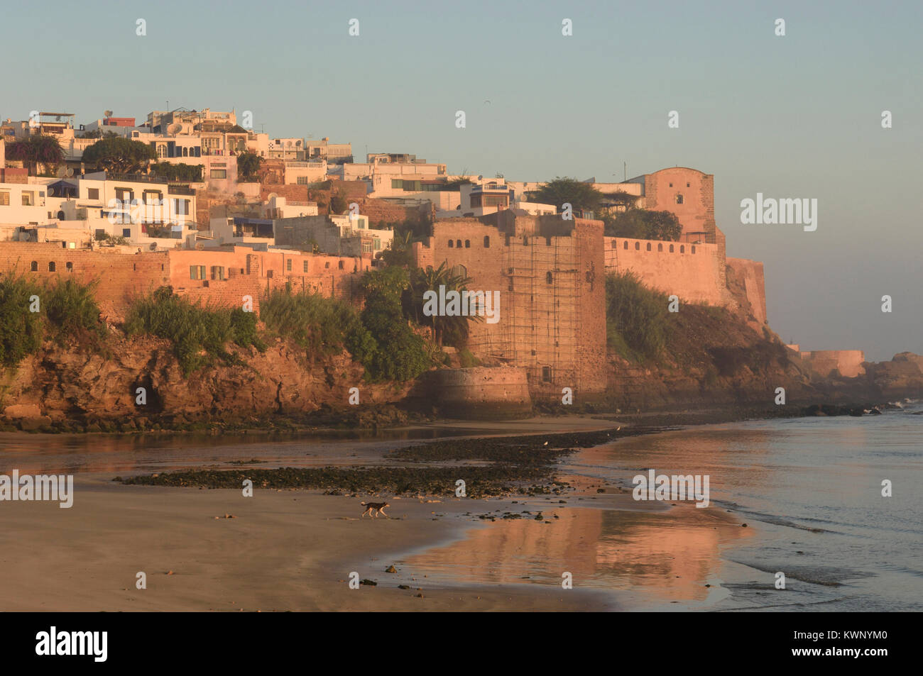 Kasbah of the Udayas, Rabat, Morocco, North Africa Stock Photo - Alamy