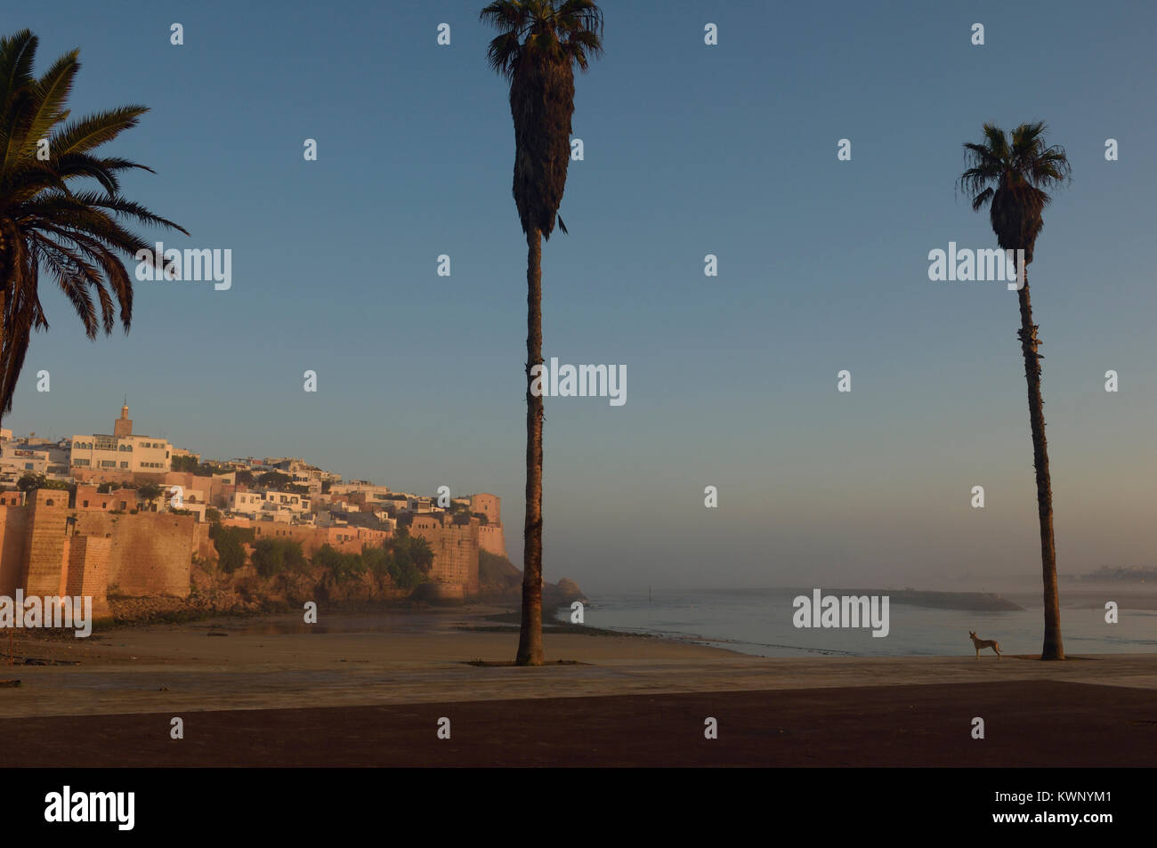 Kasbah of the Udayas, Rabat, Morocco, North Africa Stock Photo - Alamy