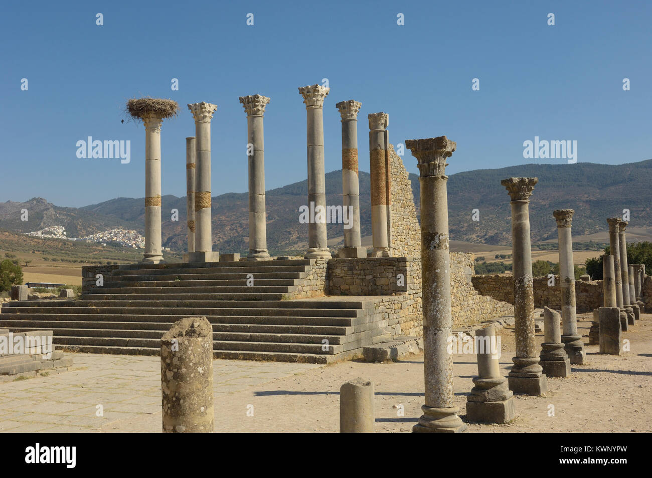 The Capitoline Temple at Volubilis. Morocco, North Africa Stock Photo ...