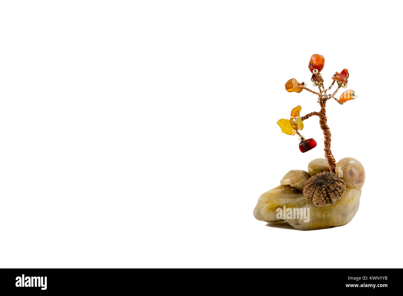 Copper beach tree hi-res stock photography and images - Alamy