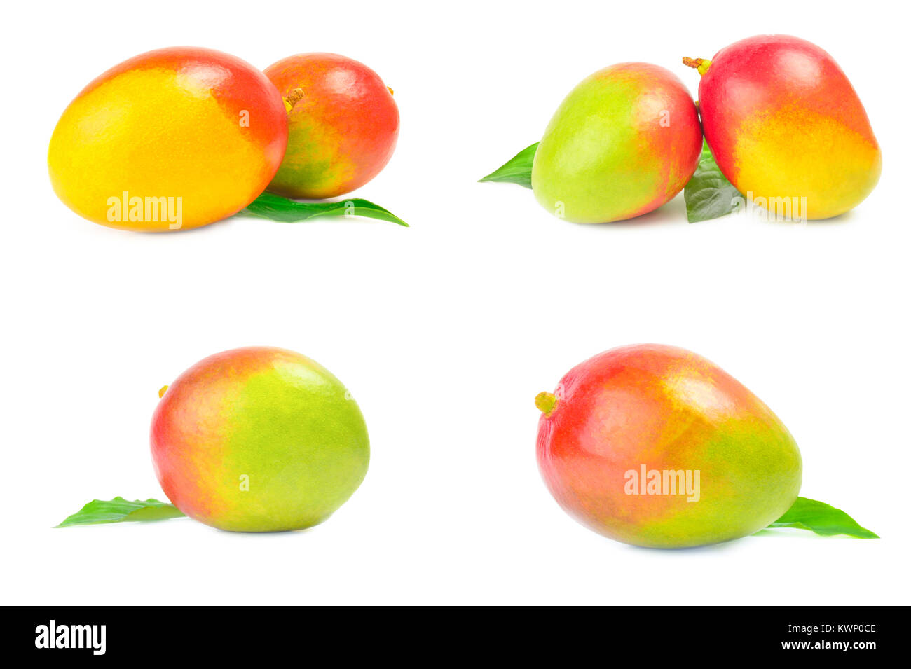 Group of red mango isolated on a white background cutout Stock Photo ...