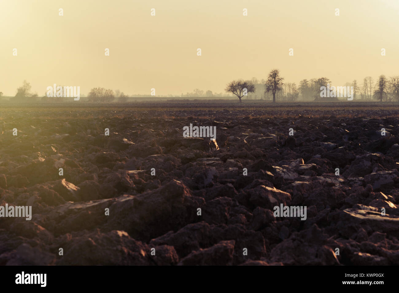 Ploughing field at sunset hi-res stock photography and images - Alamy