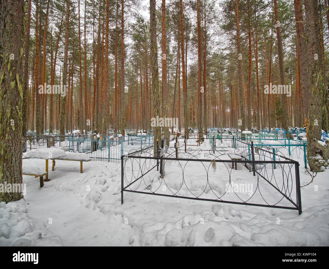 cemetery in forest Stock Photo - Alamy