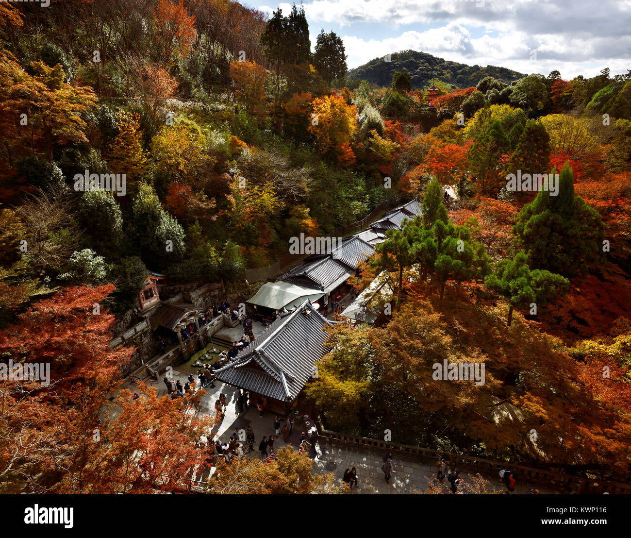 Maximimages hi-res stock photography and images - Alamy
