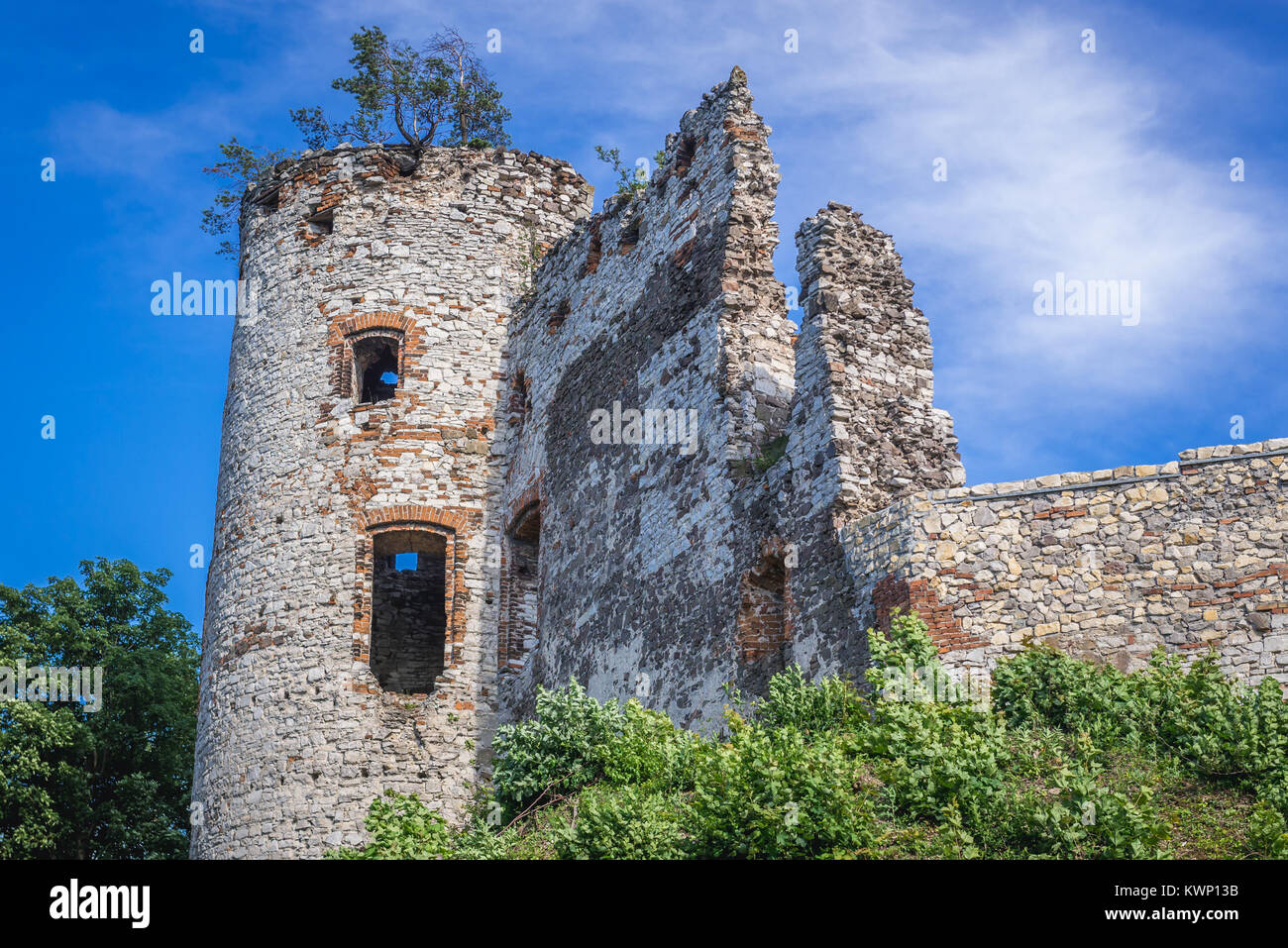 Ruined tower of Tenczyn Castle in Rudno village on the Trail of the ...