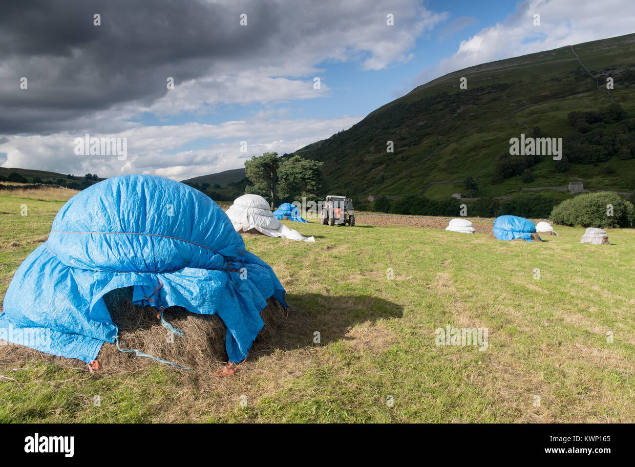 Haymaking yorkshire dales hi-res stock photography and images - Alamy