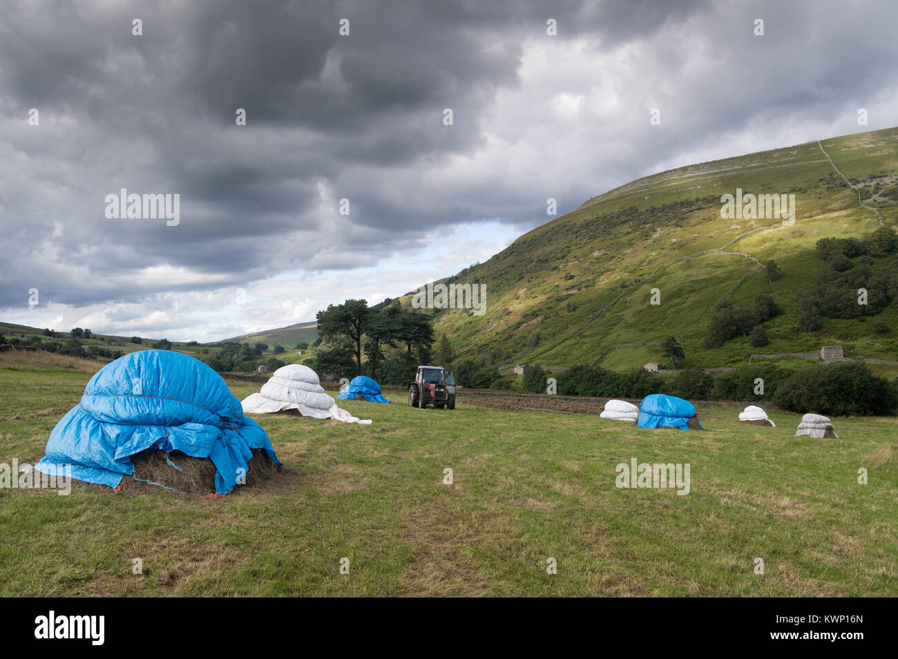 Haymaking yorkshire dales hi-res stock photography and images - Alamy