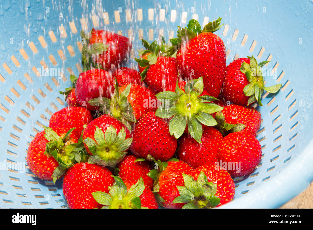 Washing strawberries hi-res stock photography and images - Alamy
