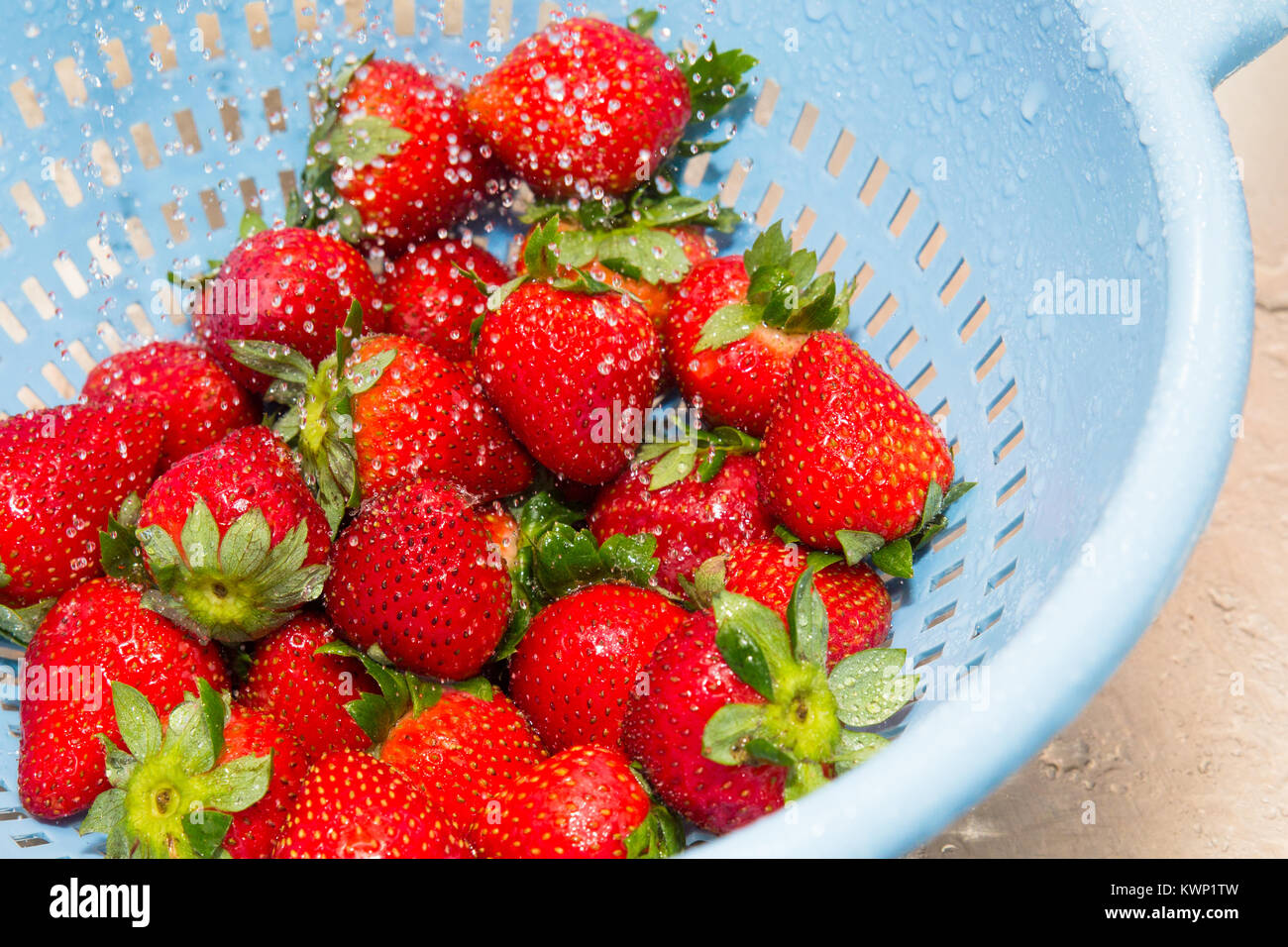 Washing strawberries hi-res stock photography and images - Alamy