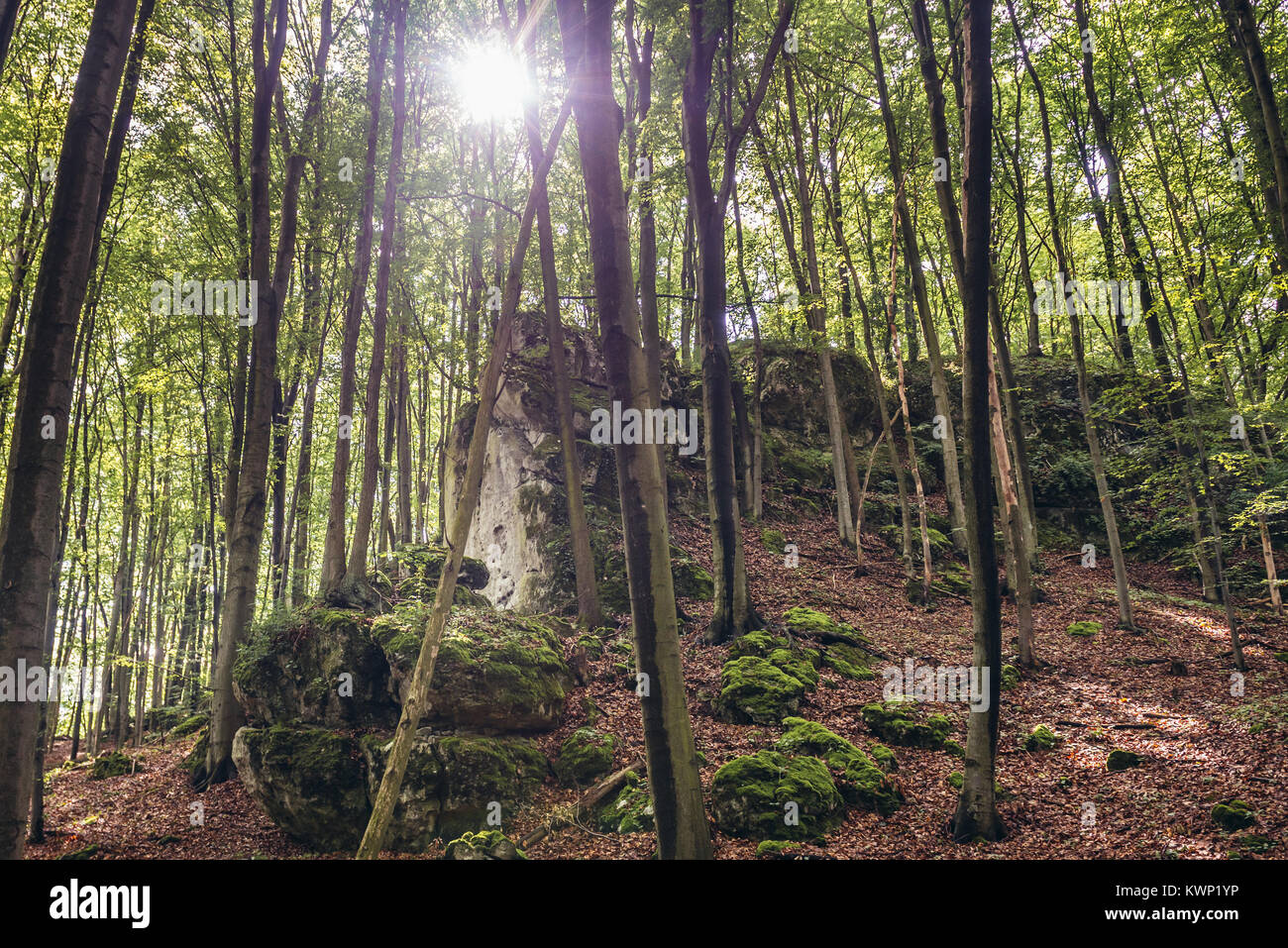 Jurassic Rocks Jura Mountains High Resolution Stock Photography and ...