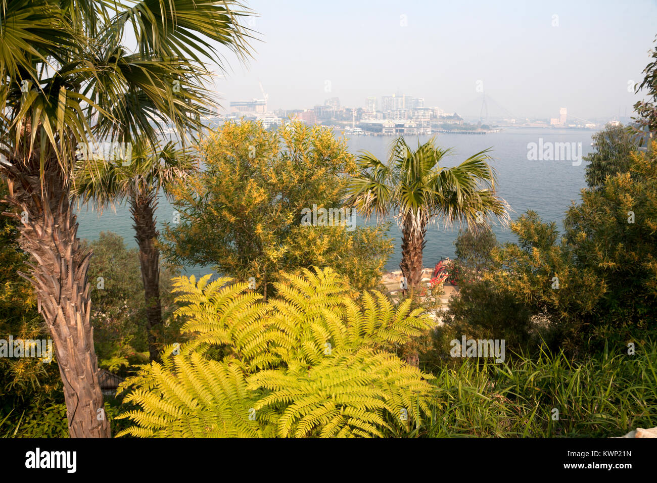 barangaroo reserve darling harbour sydney new south wales australia ...