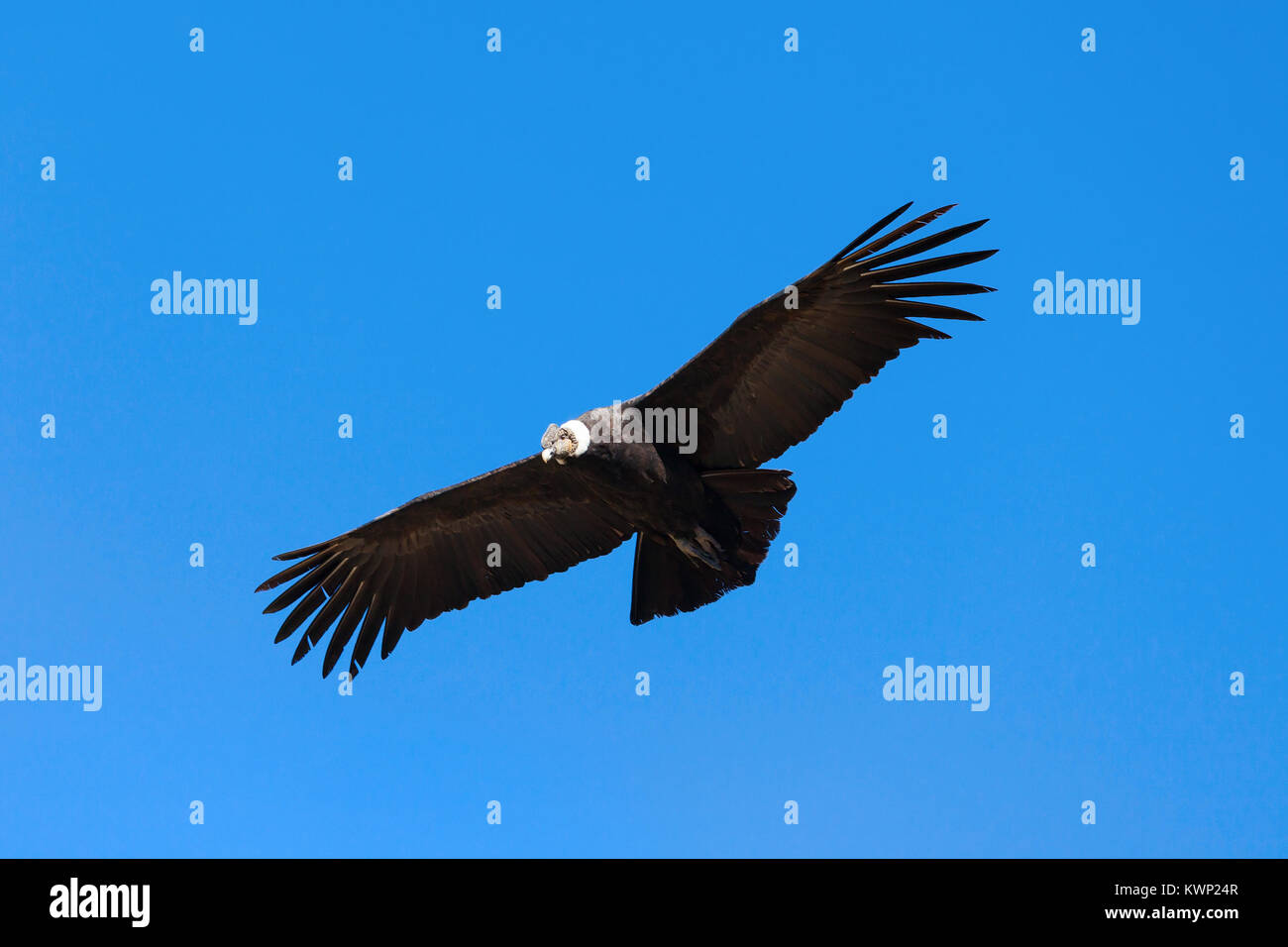 Above adventure attraction background hi-res stock photography and ...