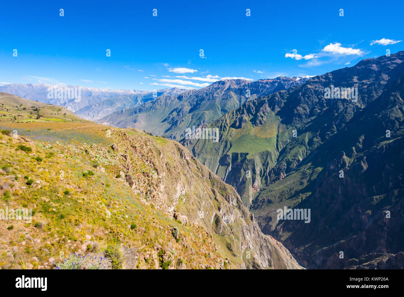 Colca Canyon is a canyon of the Colca River in southern Peru Stock ...