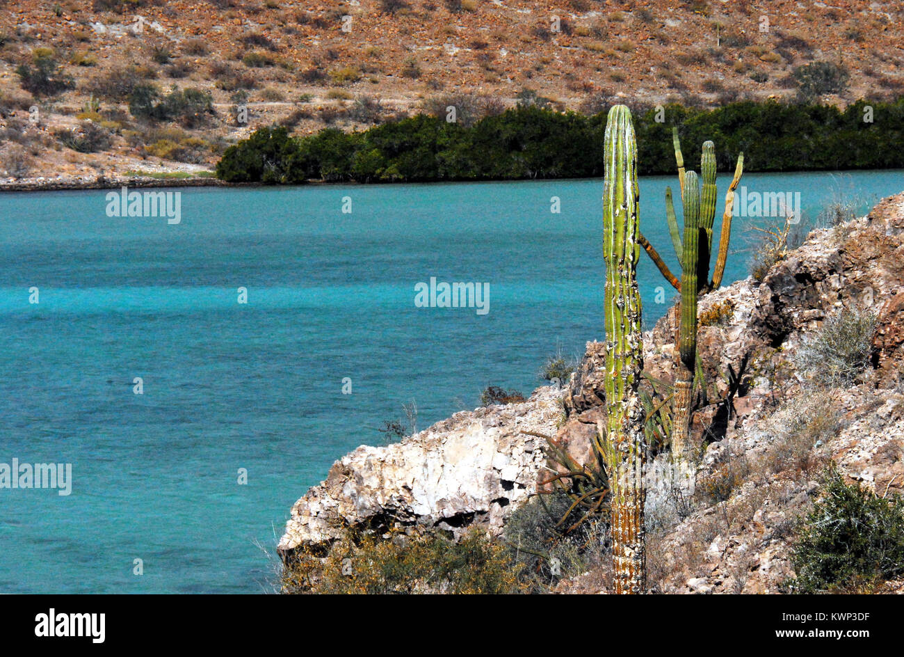 A beautiful panoramic landscape of the BaJa, Mexico coastline ...