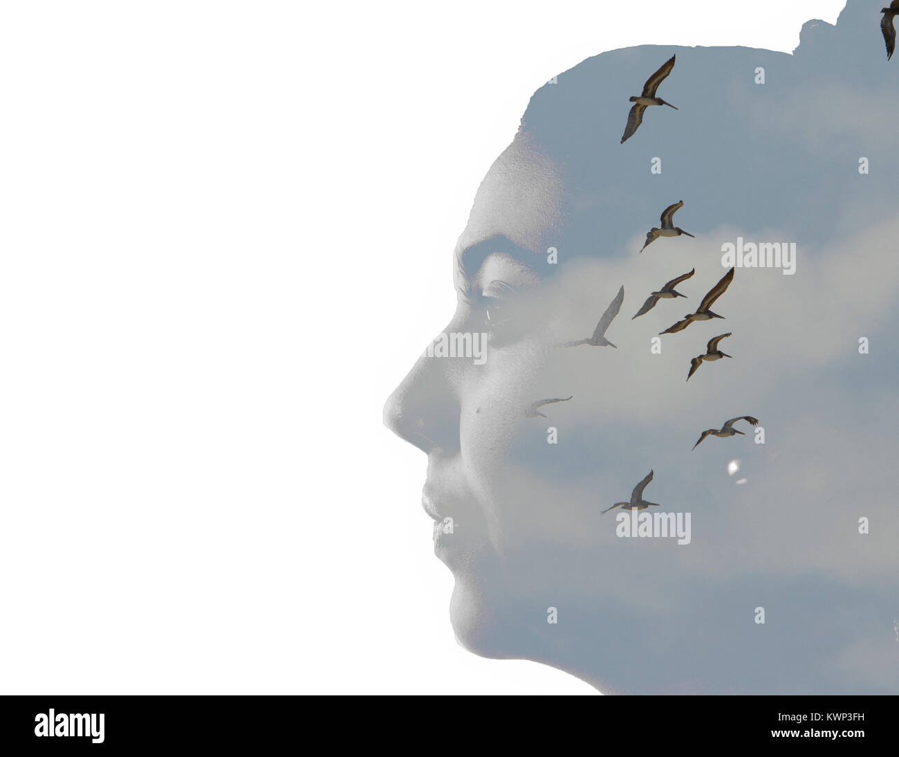 Double exposure portrait of a young woman and sky with birds and clouds ...